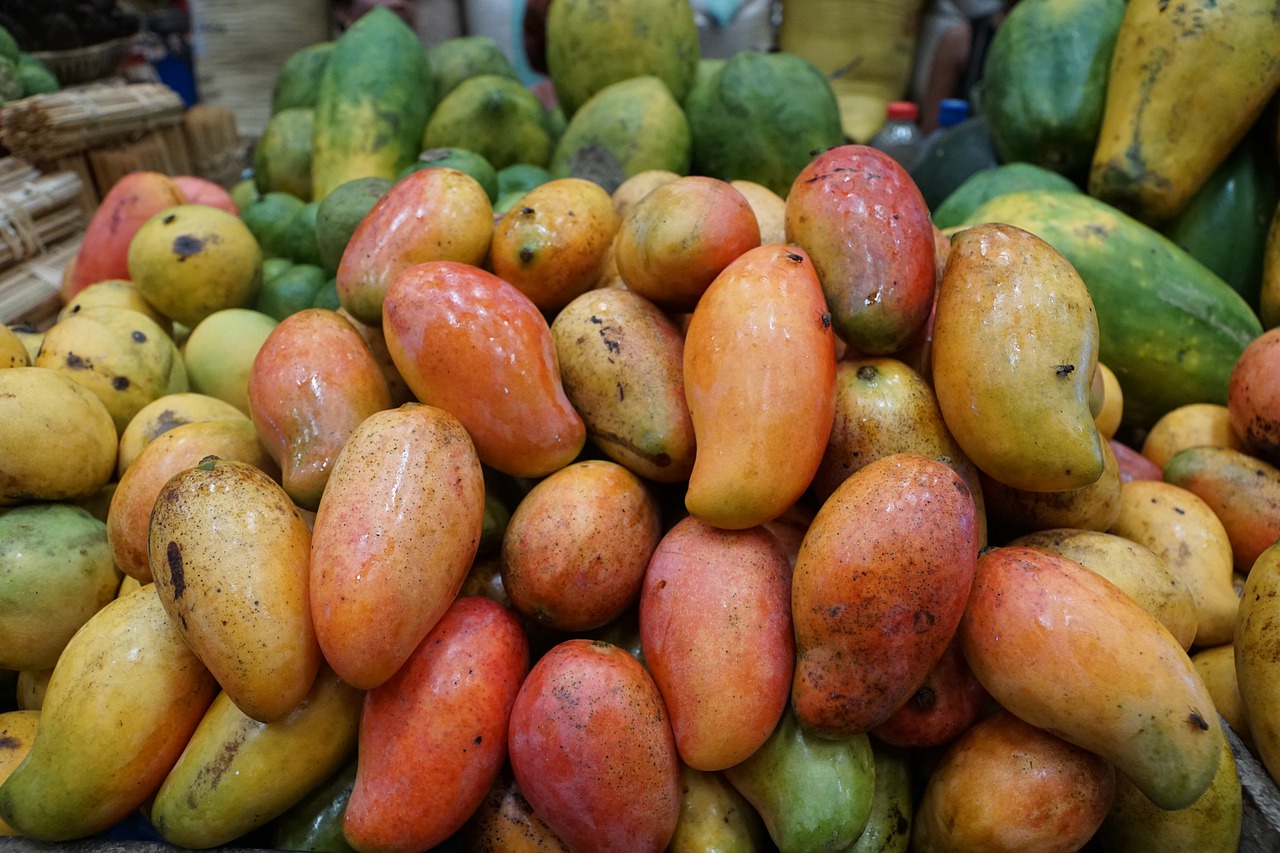 Producción frutícola de Sinaloa apunta a los orgánicos – Agro Orgánico